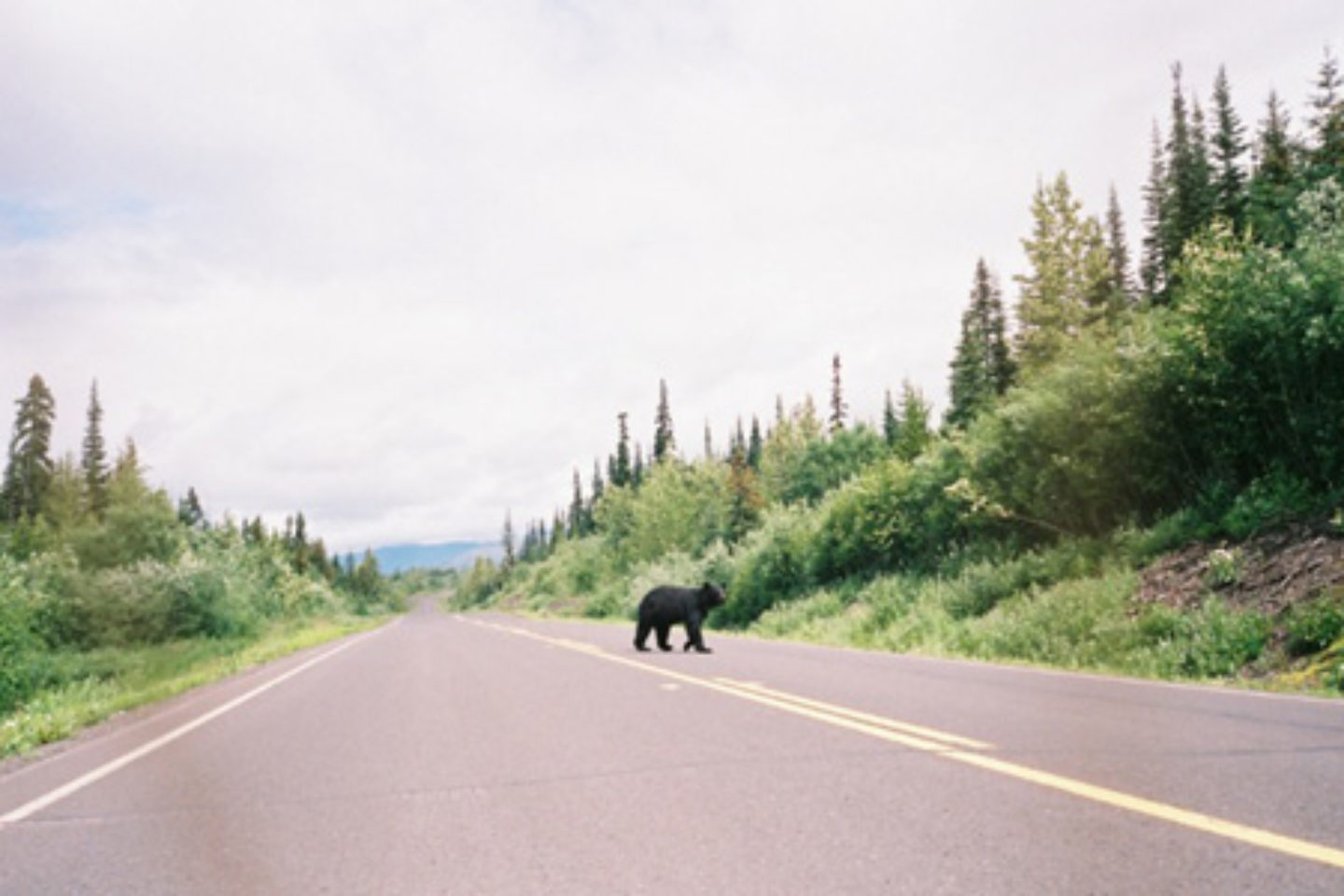 Dreamy Multiple Exposure Photography By Luke Gram - IGNANT