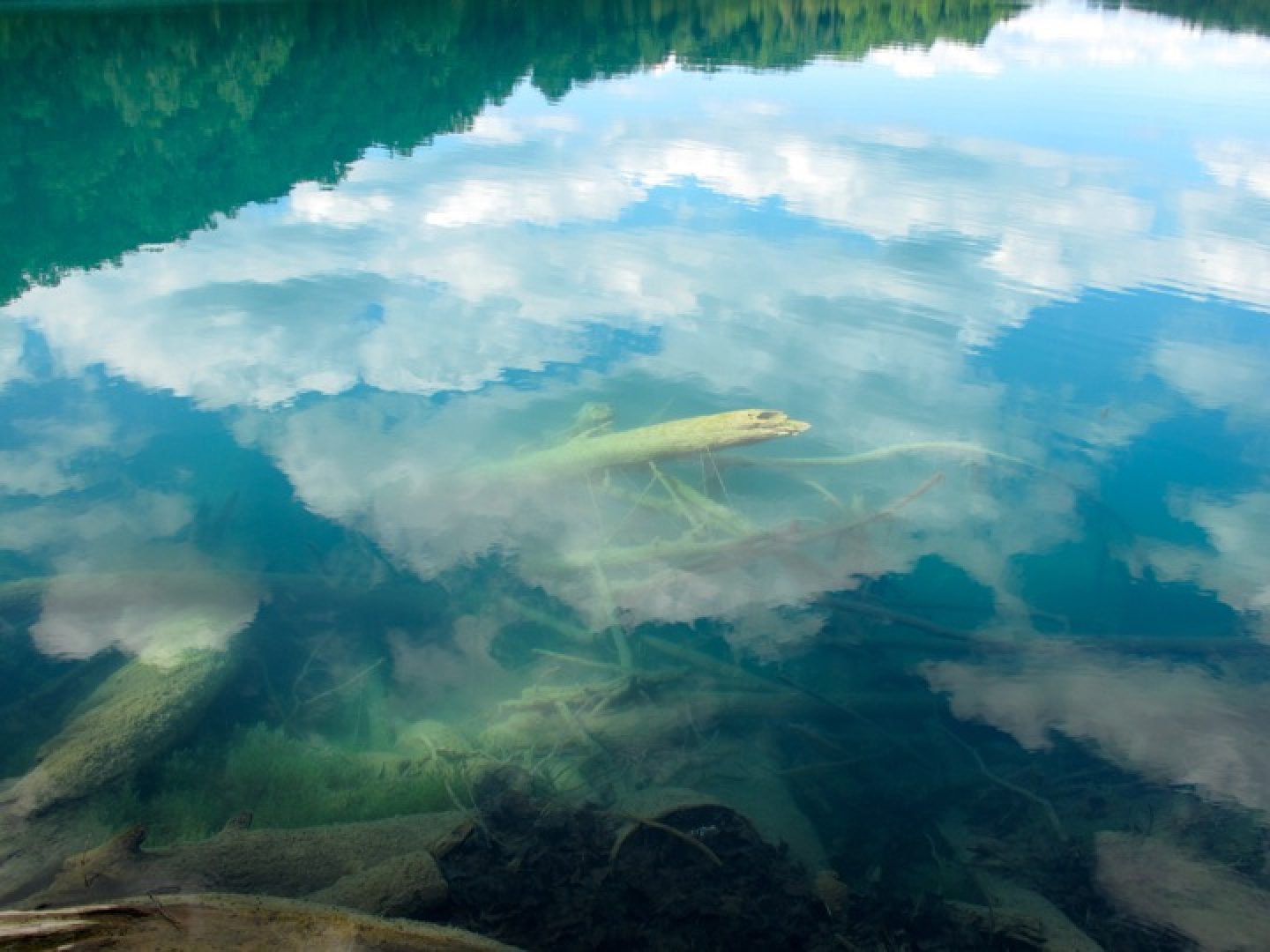 Beth Hoeckel - IGNANT