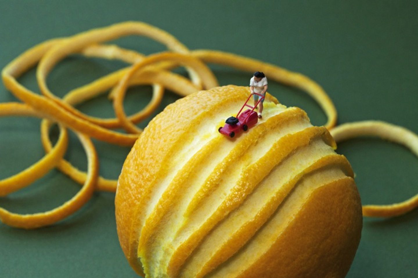 Christopher Boffoli - IGNANT