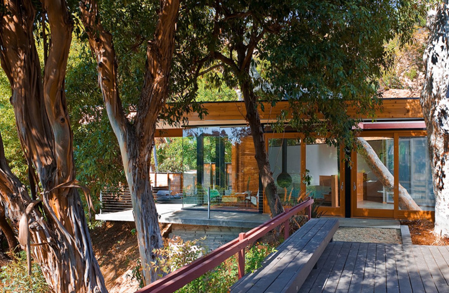 Sycamore House - IGNANT