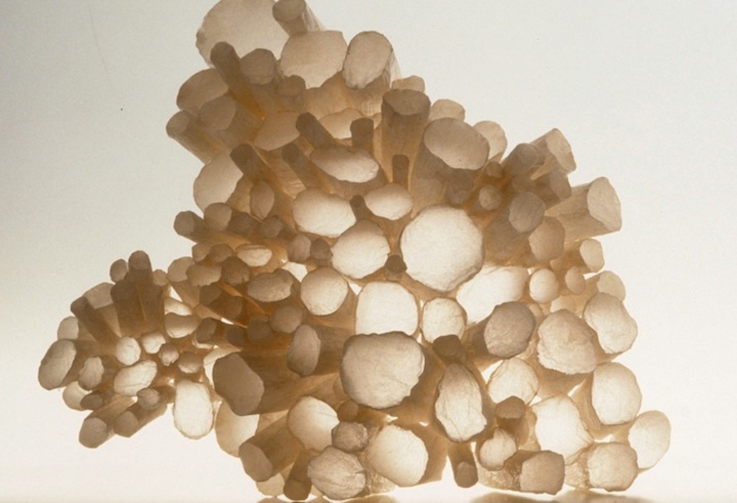 Mary Button Durell - IGNANT