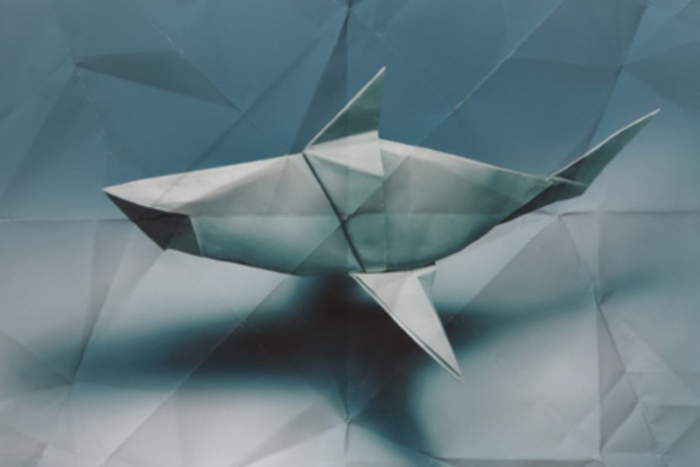 Photo Manipulations By Januz Miralles - IGNANT