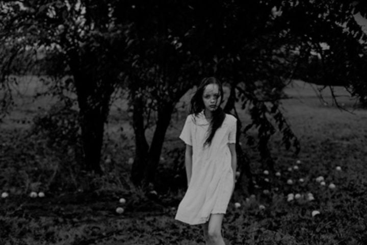 The Locusts Is Jesse Lenz’s Captivating Portrayal Of The Untamed And ...