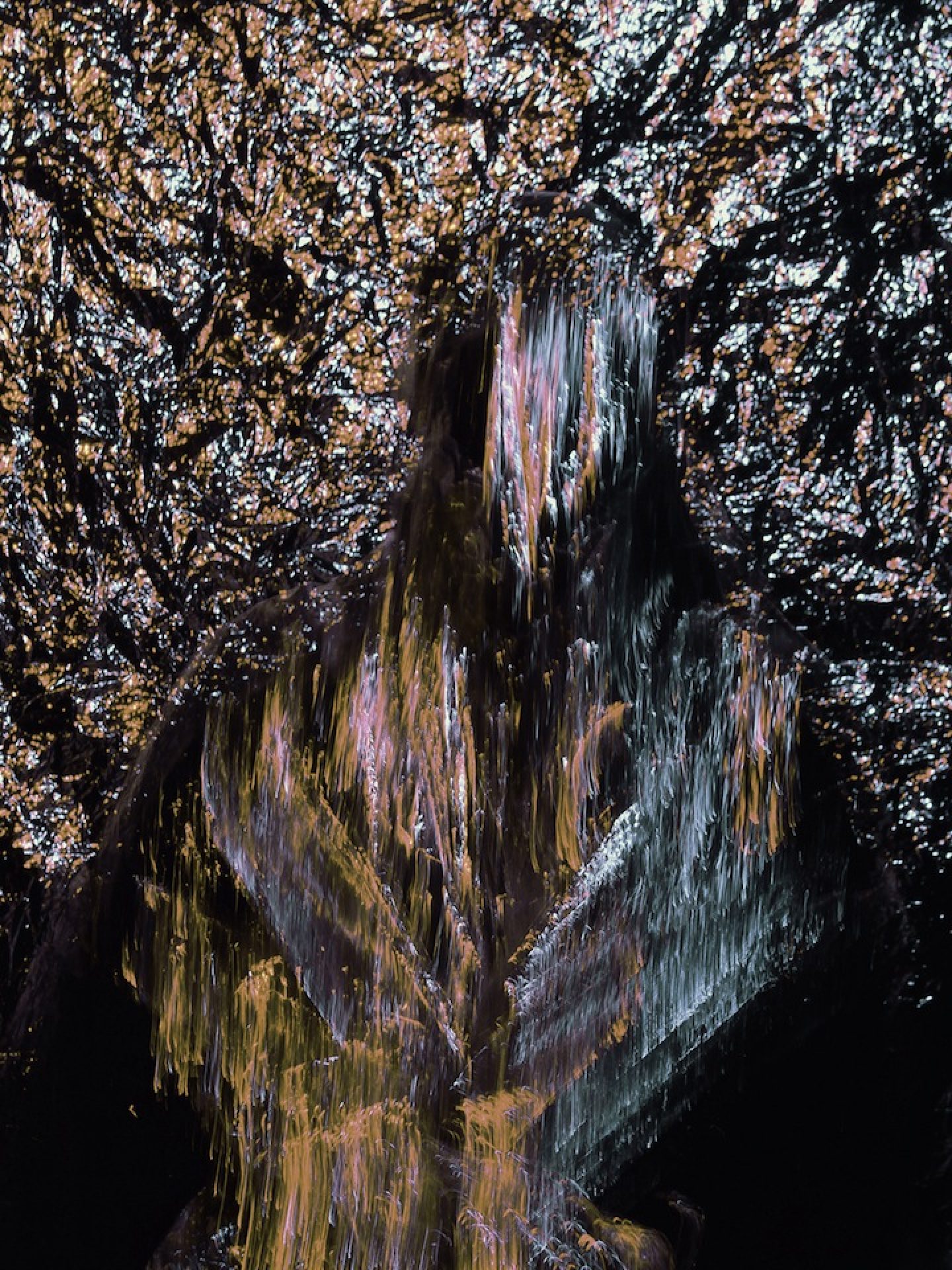 Hidden Self Portraits - IGNANT