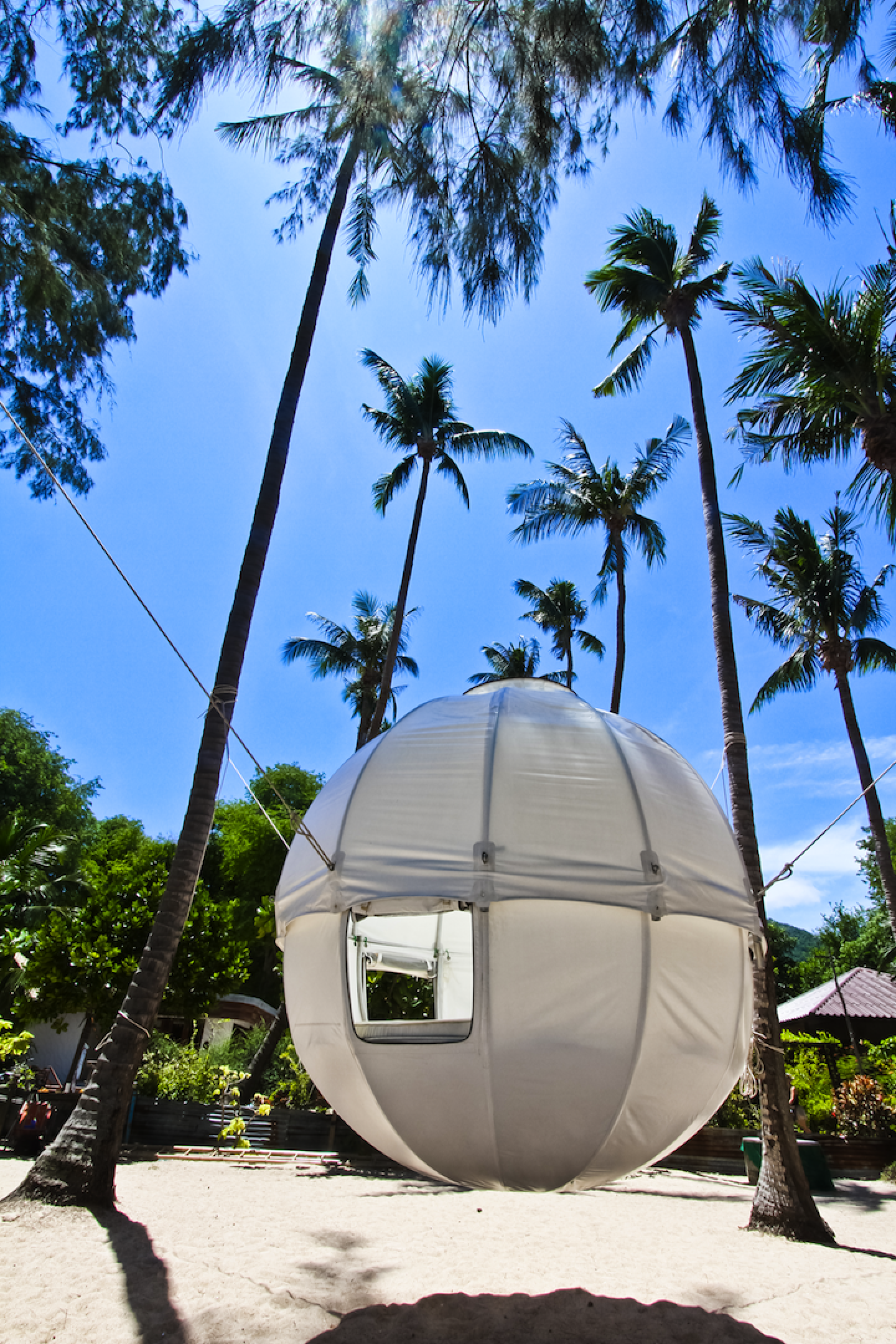 Cocoon Tree Tent - IGNANT