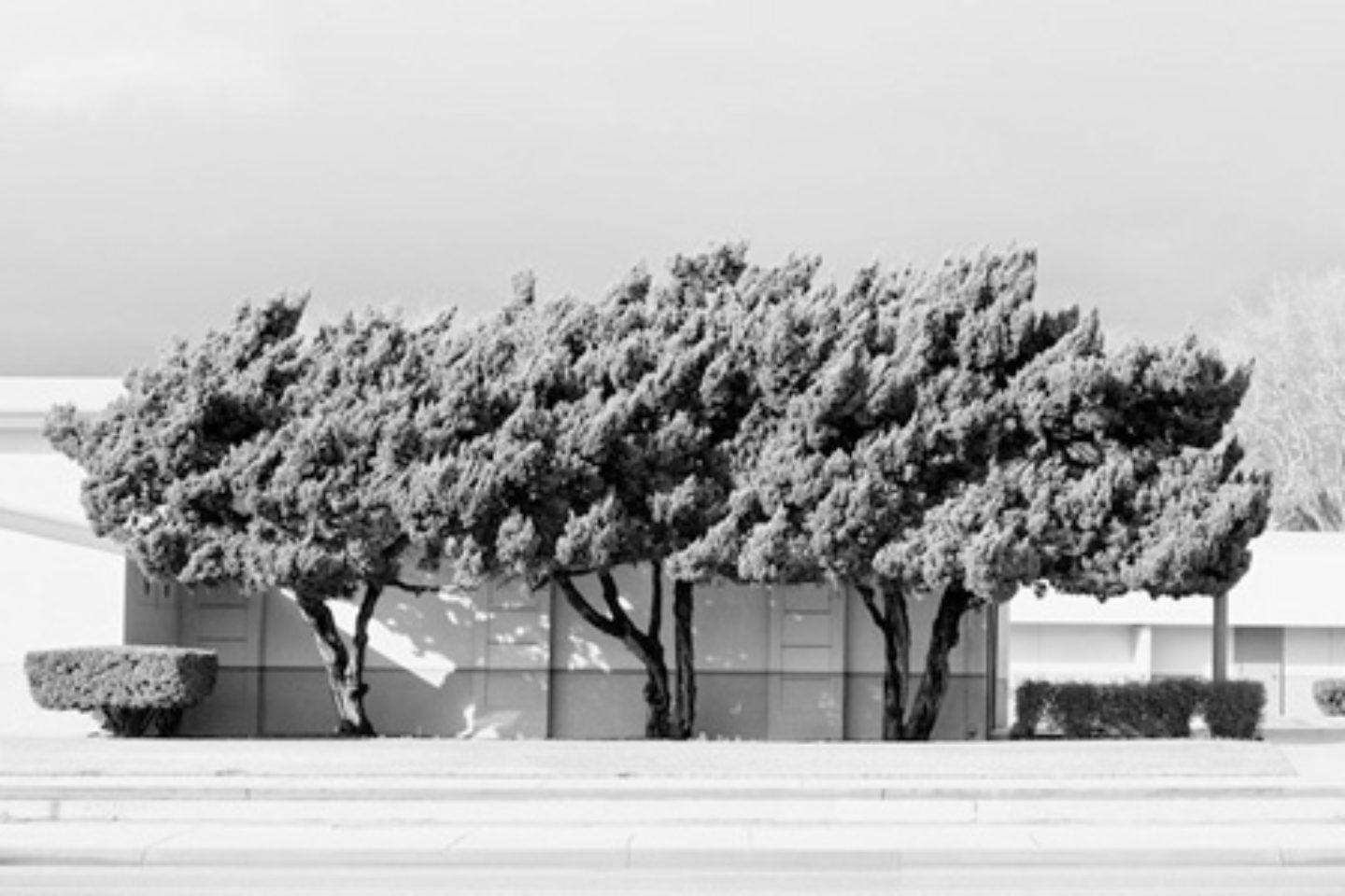 Rupert Vandervell Photographs The Streets Of London With Patience And ...
