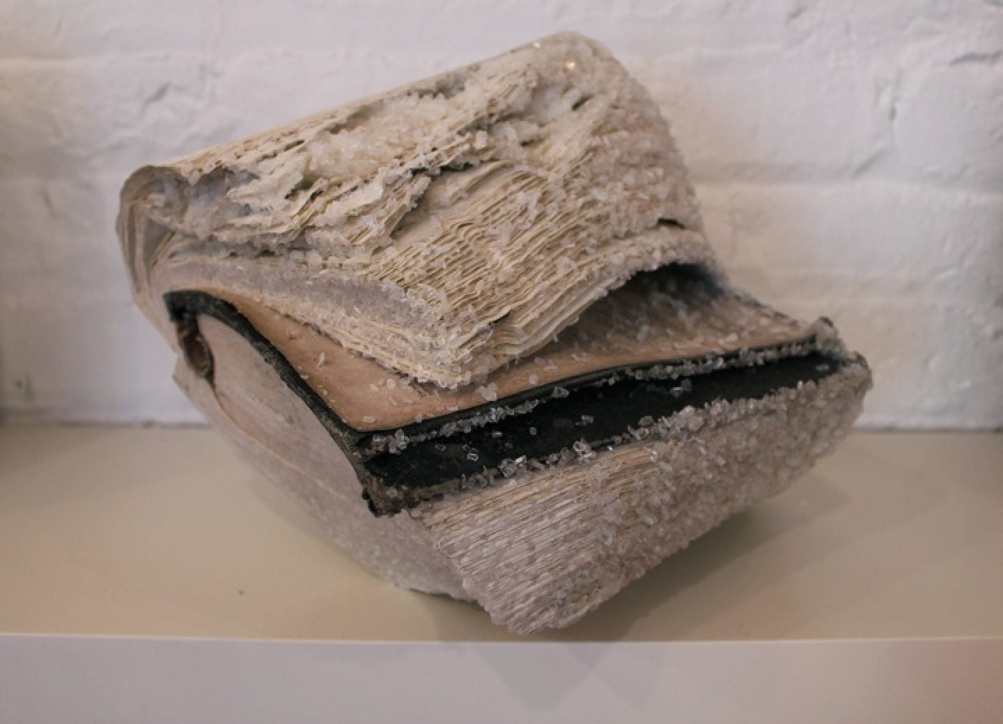 Crystalized Books - IGNANT