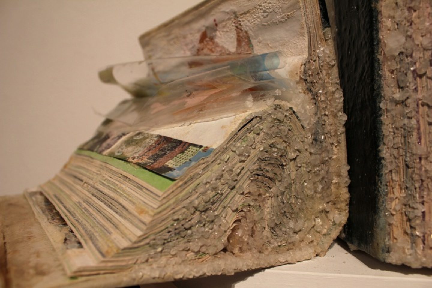 Crystalized Books - IGNANT