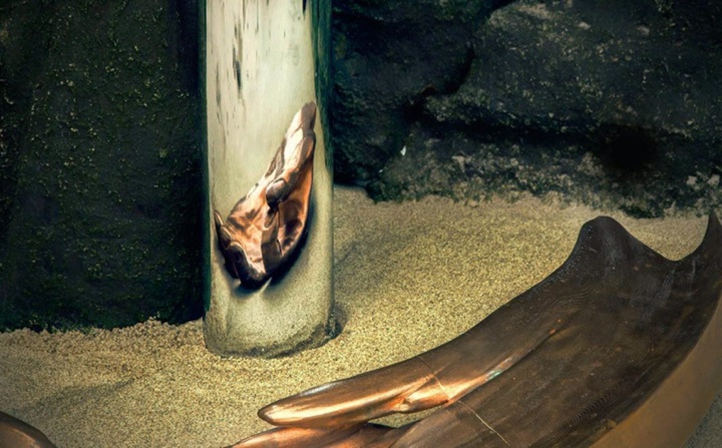 Anamorphic Sculptures - IGNANT