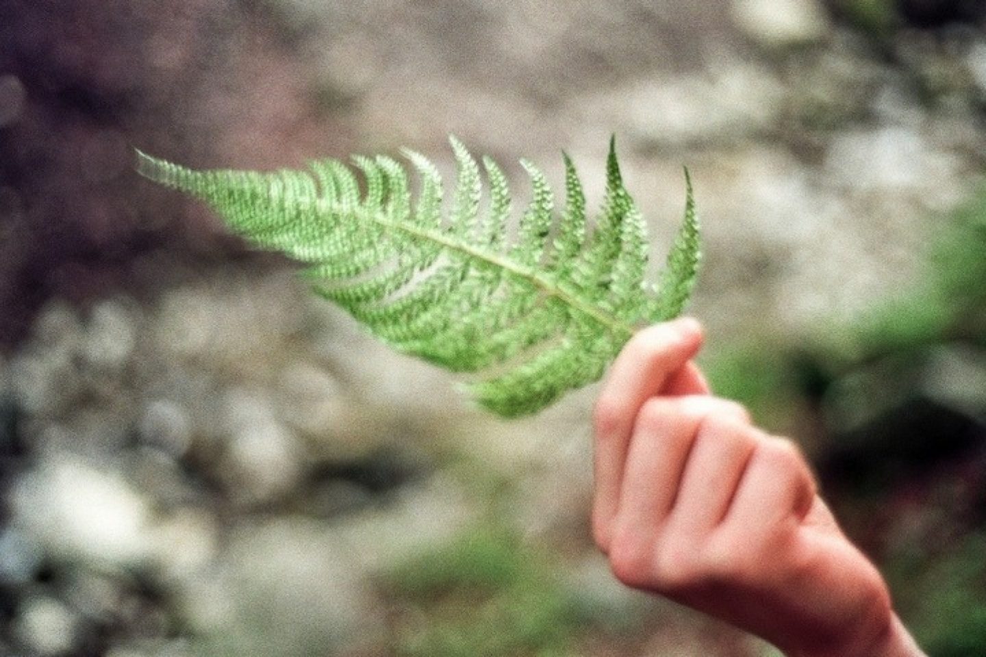 Flickr Friday - IGNANT