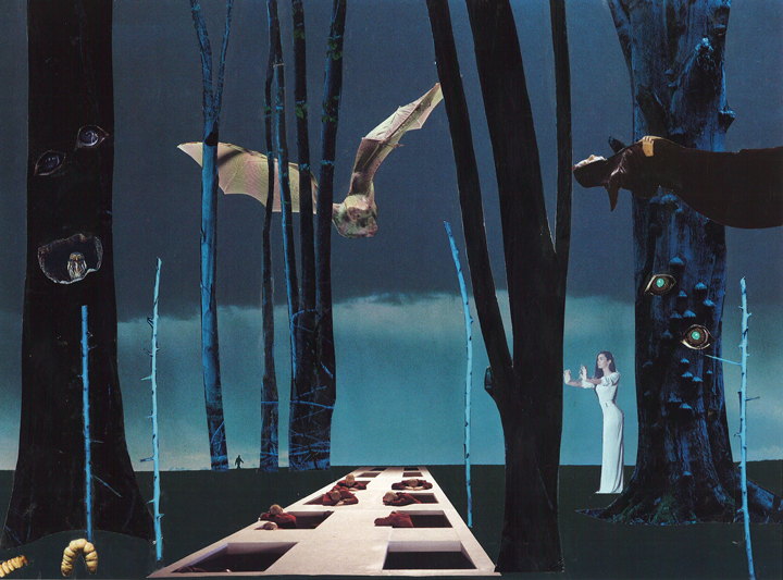 Seana Gavin - IGNANT