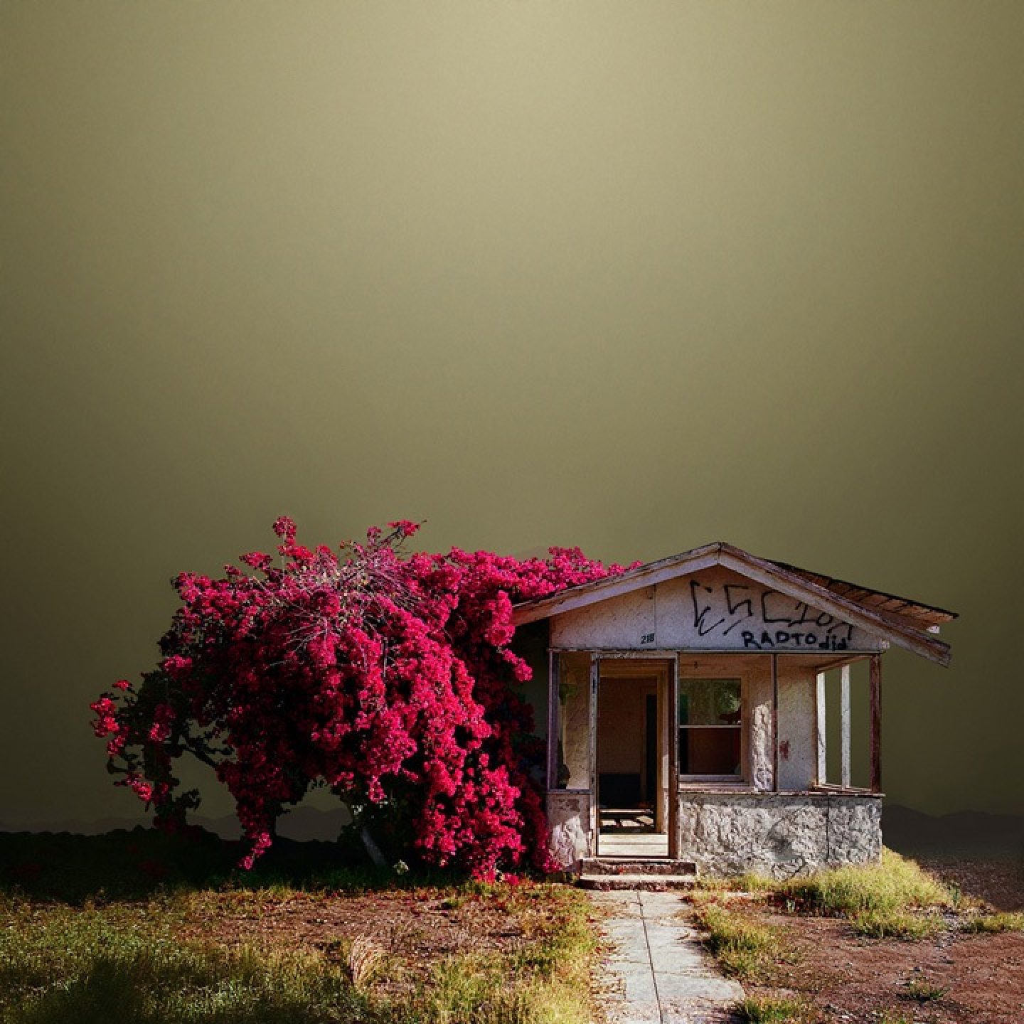Ed Freeman - IGNANT