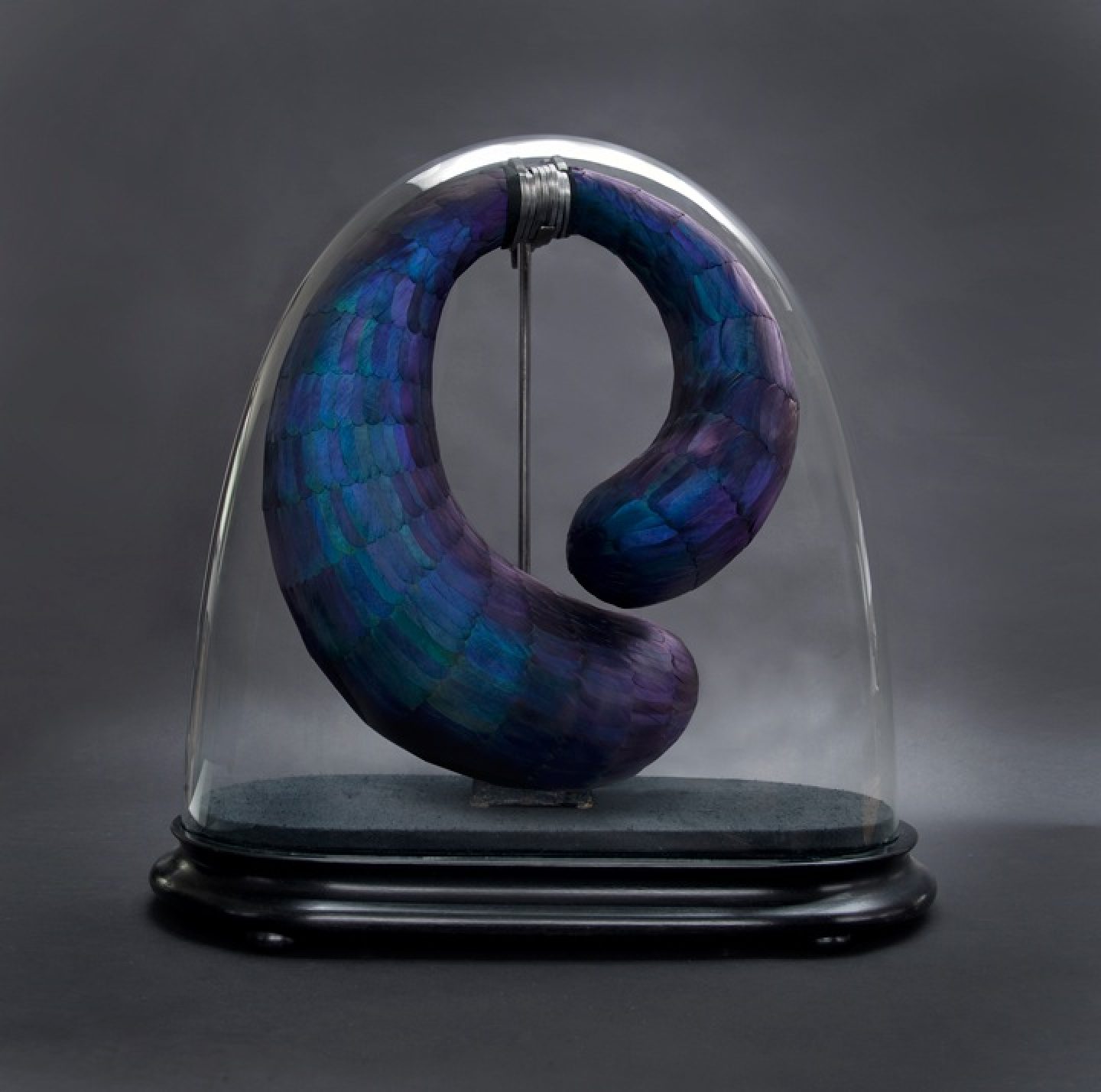 Kate MccGwire - IGNANT