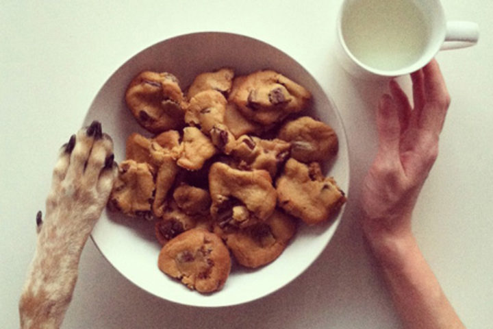 INSTA FAVS #08: Carissa Gallo - IGNANT