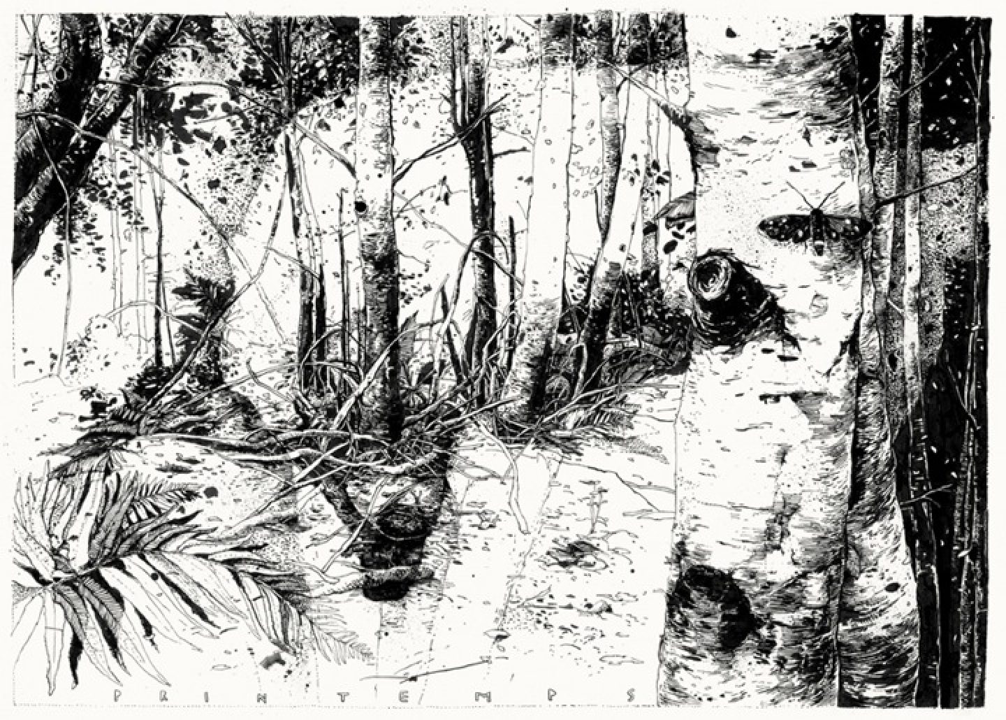 Simon Prades - IGNANT