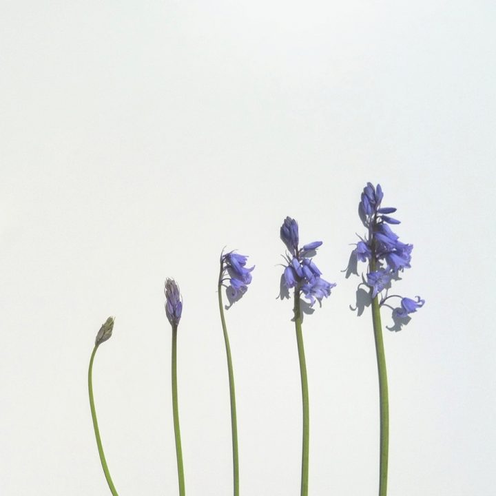 Insta Favs #35: Houtenboom - IGNANT