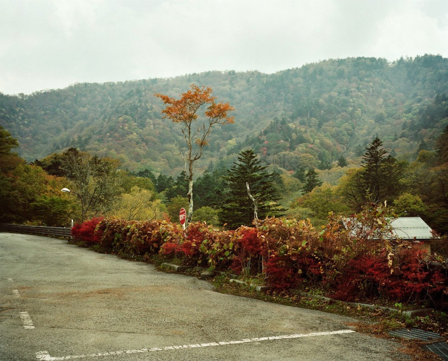 A portrait of Japan by Emily Shur - IGNANT