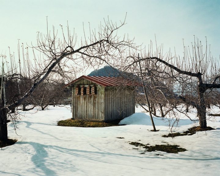 A portrait of Japan by Emily Shur - IGNANT