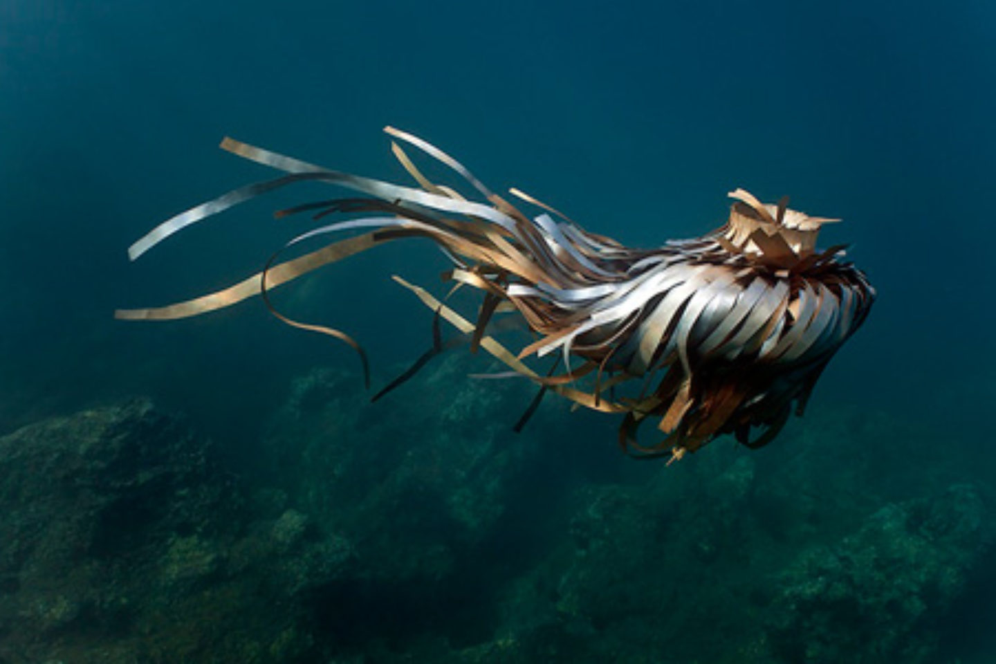 Ephemeral objects by Chrisostomou - IGNANT