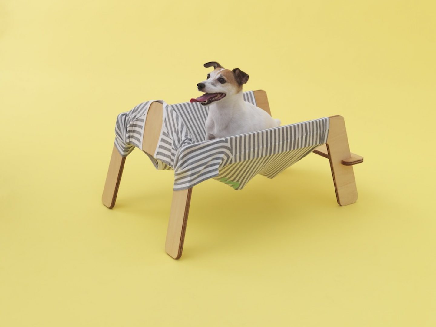Architecture for Dogs - IGNANT