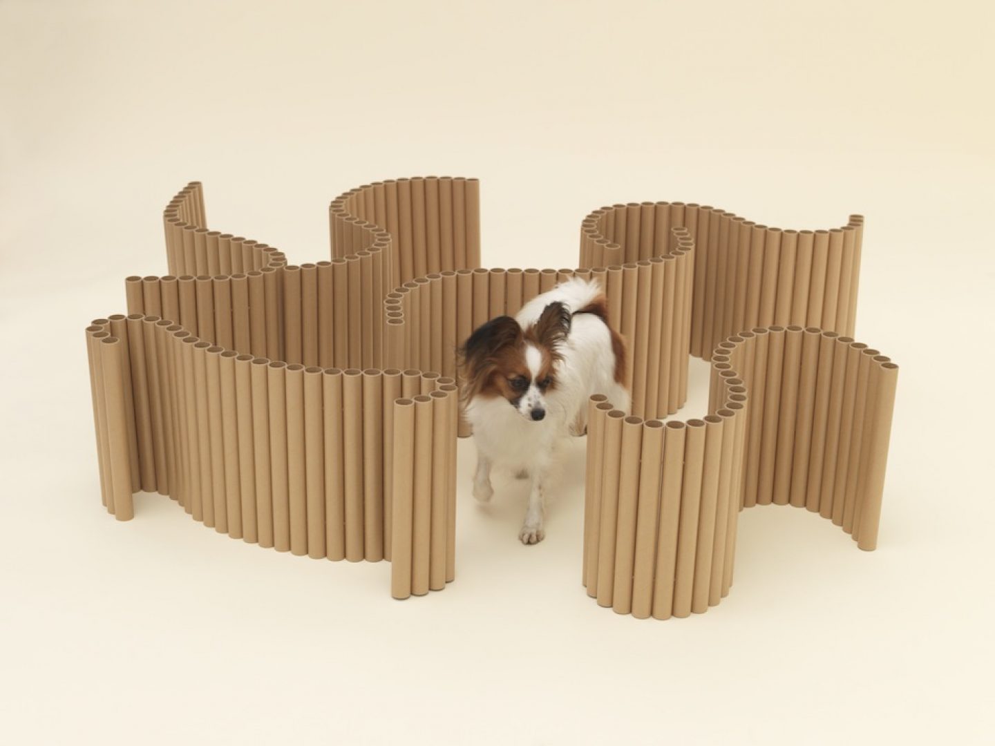 Architecture for Dogs - IGNANT