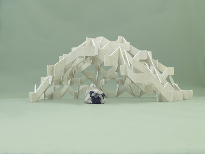 Architecture for Dogs - IGNANT