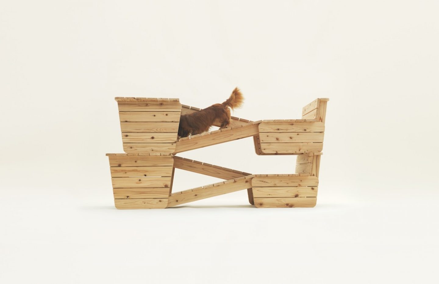 Architecture for Dogs - IGNANT