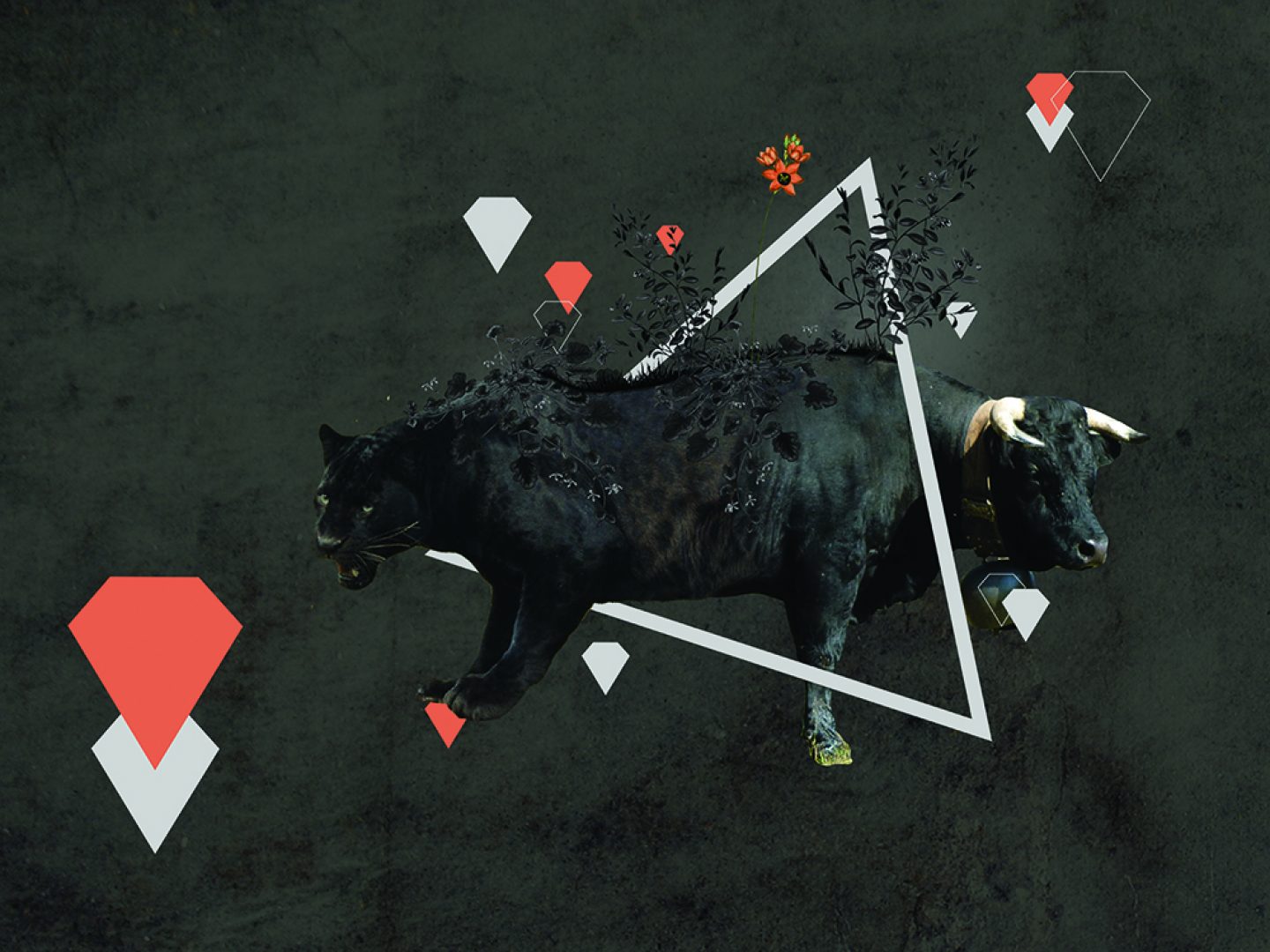 Photo Collages by Julia Geiser - IGNANT