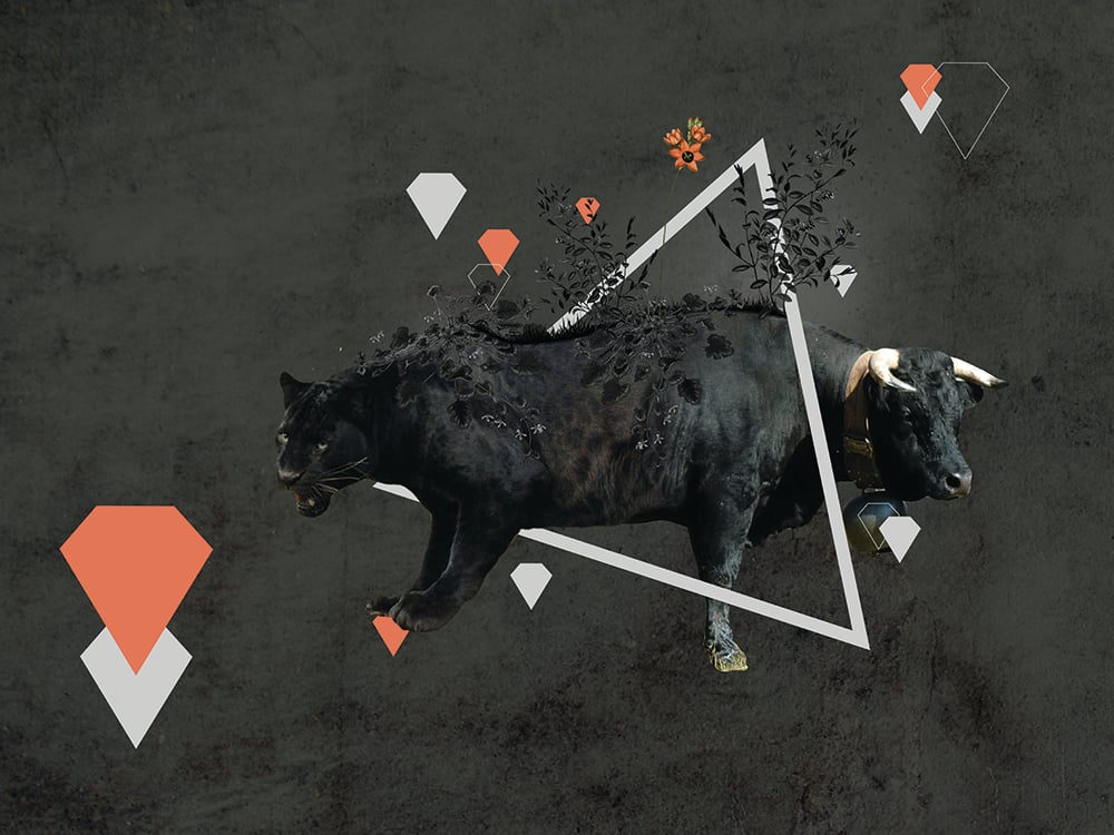 Photo Collages by Julia Geiser - IGNANT