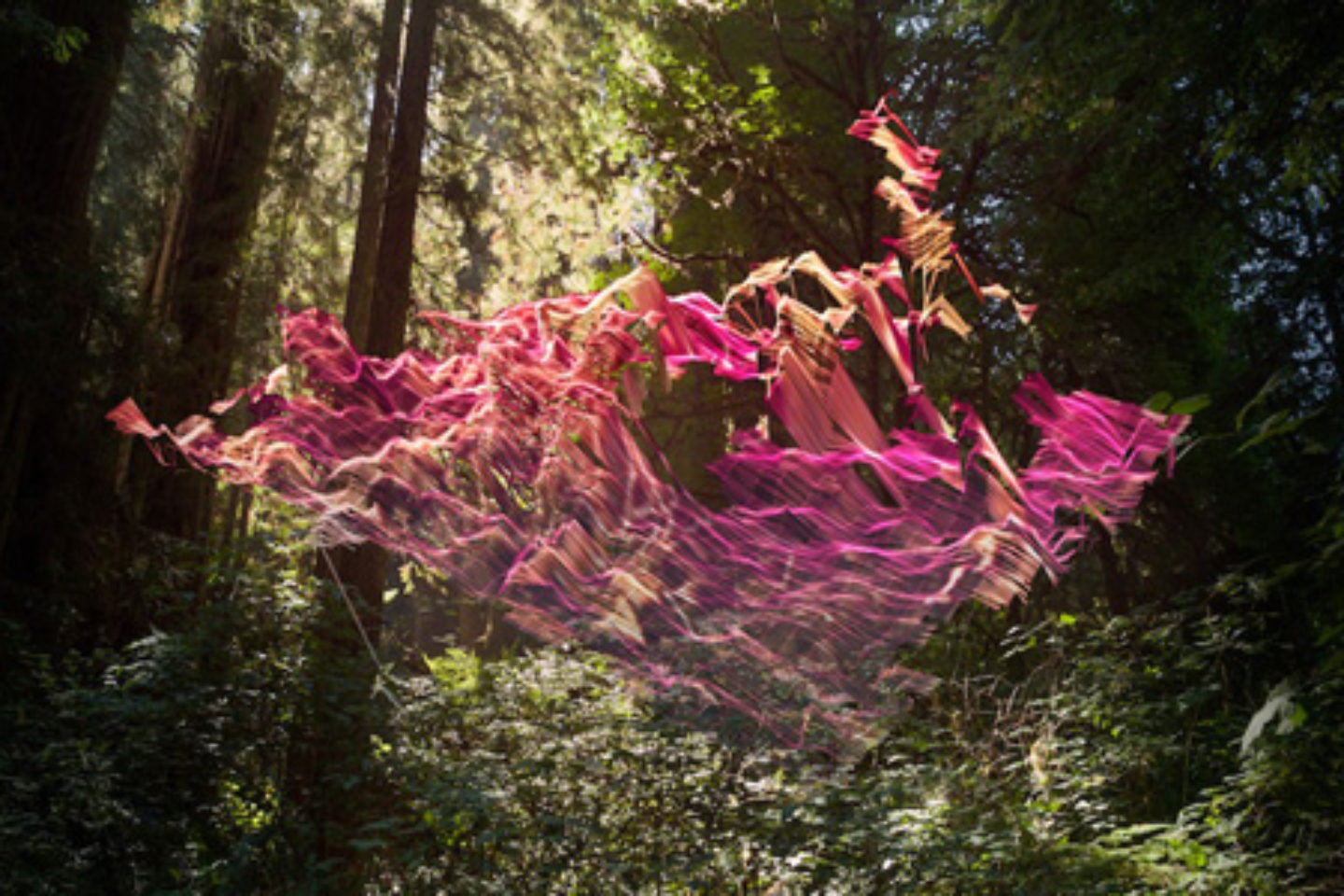 Dreamy Multiple Exposure Photography By Luke Gram - IGNANT