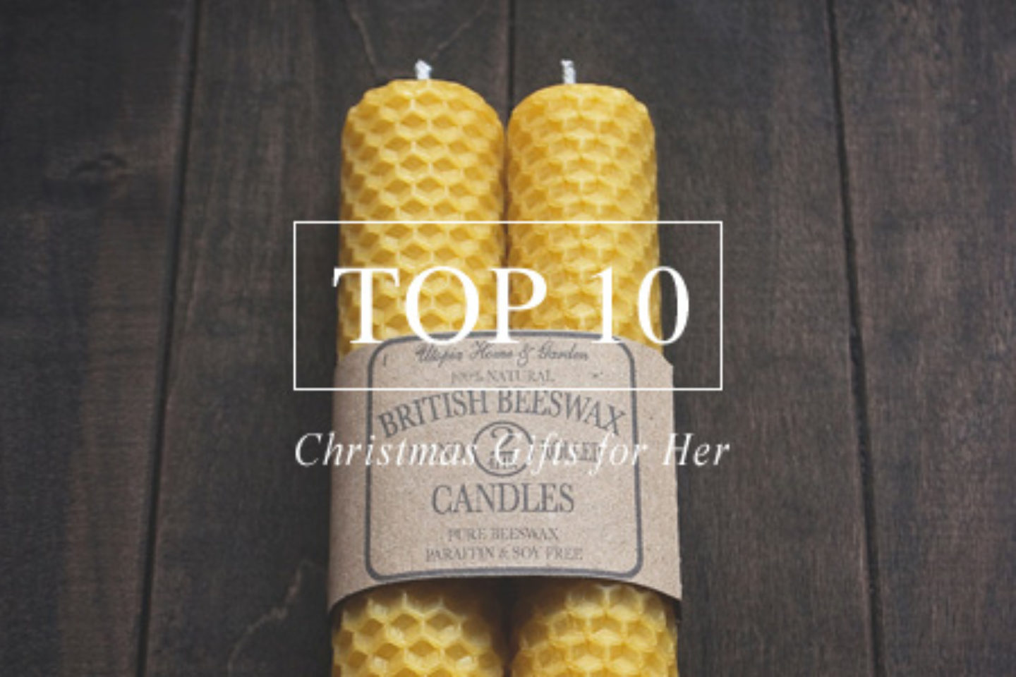 Steam Portraits by David Ryle - IGNANT