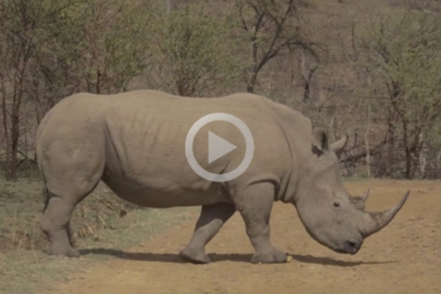 Lin Yung Cheng's Observations Of Society - IGNANT