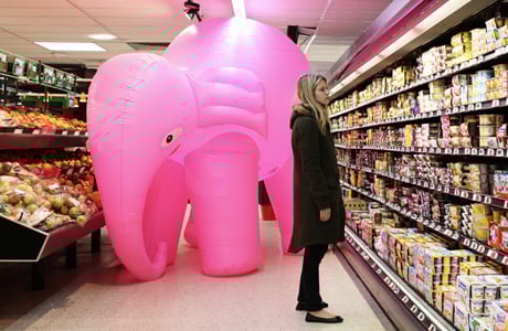 Elephant Rose by Jean-Baptiste Courtier - IGNANT