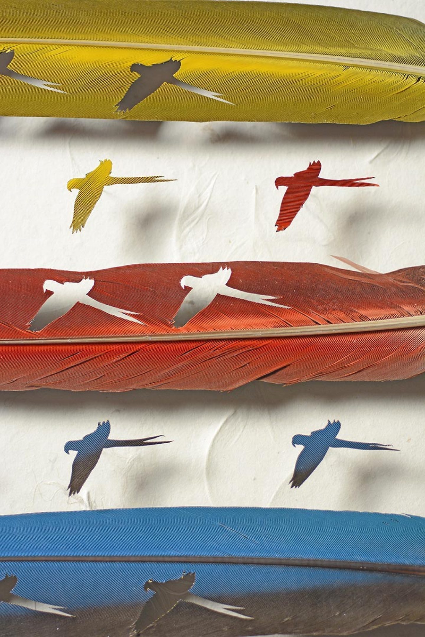 Feather Marvels by Chris Maynard - IGNANT