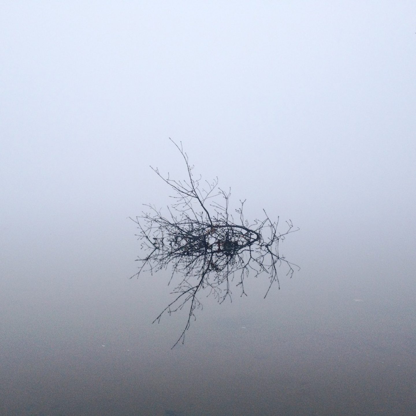 Insta Fav #57: Sean Doolan Hames - IGNANT