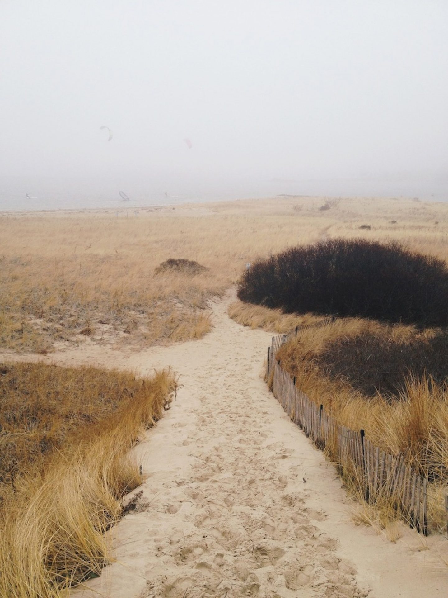 Insta Fav #57: Sean Doolan Hames - IGNANT