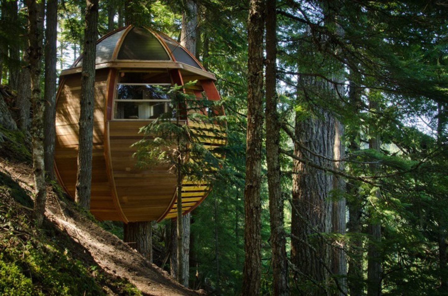 Top 10 Unusual Tiny Homes - IGNANT