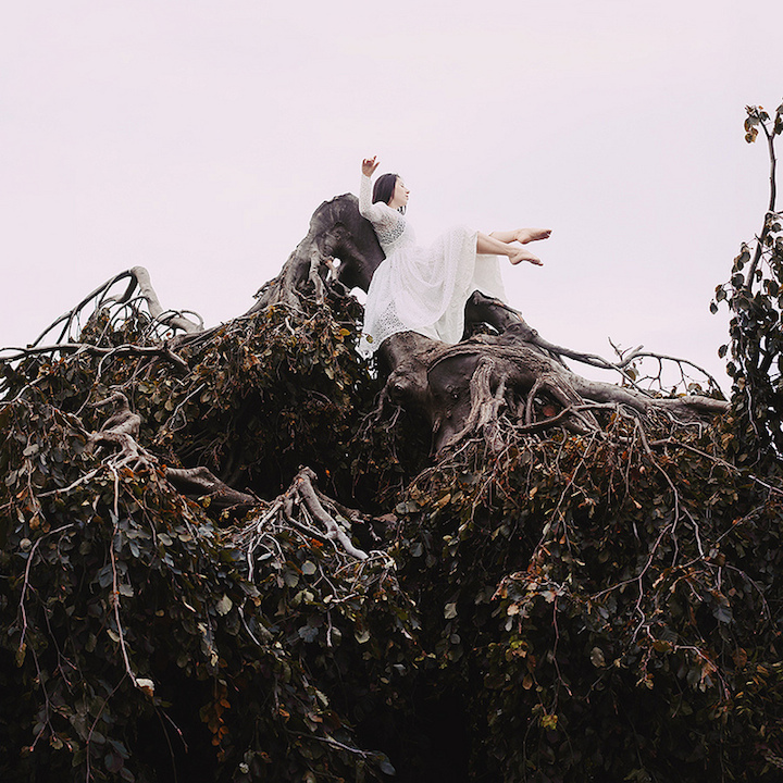 Fairy tales and nature by Katja Kemnitz - IGNANT