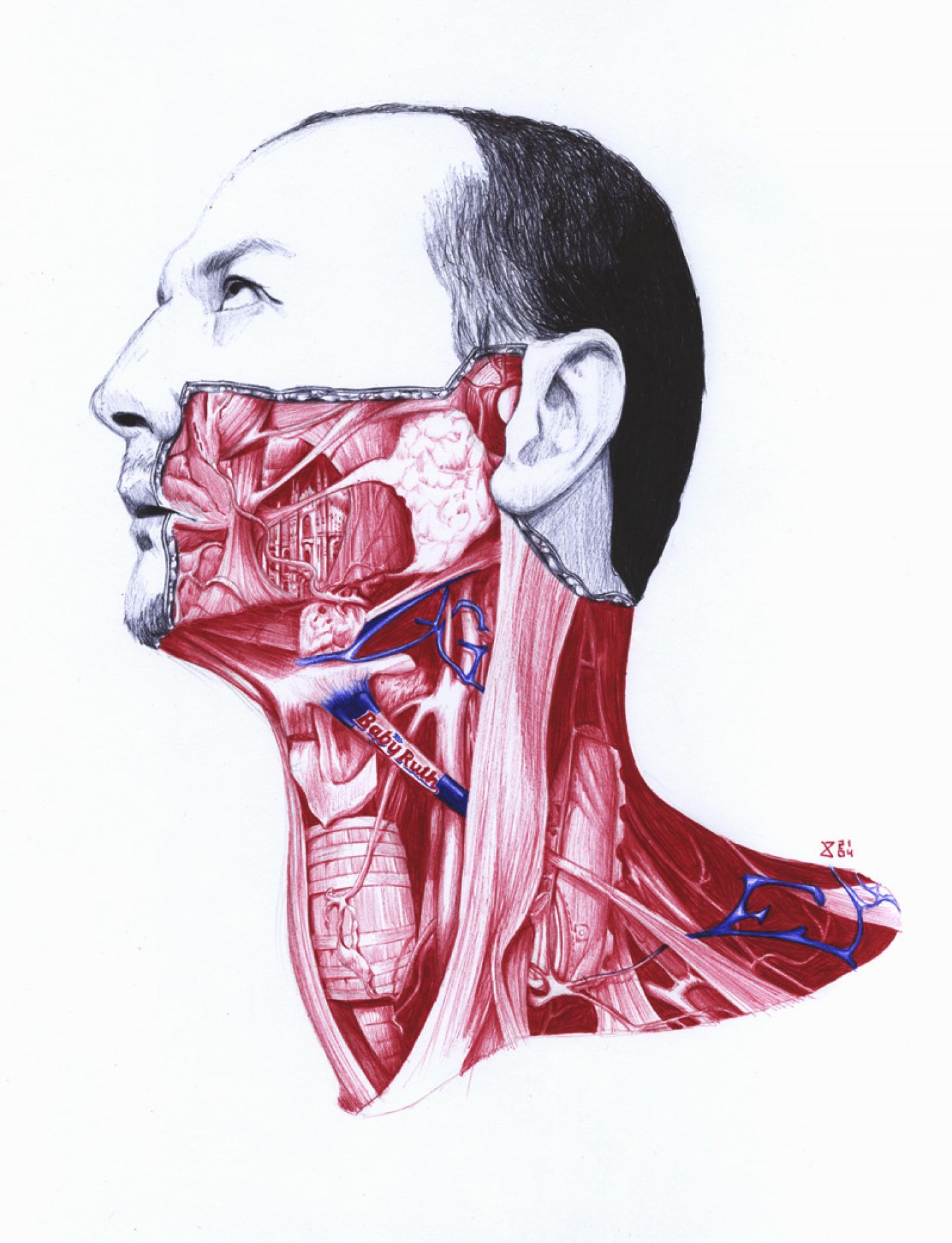 Anatomical Illustrations by Salvatore Zanfrisco - IGNANT