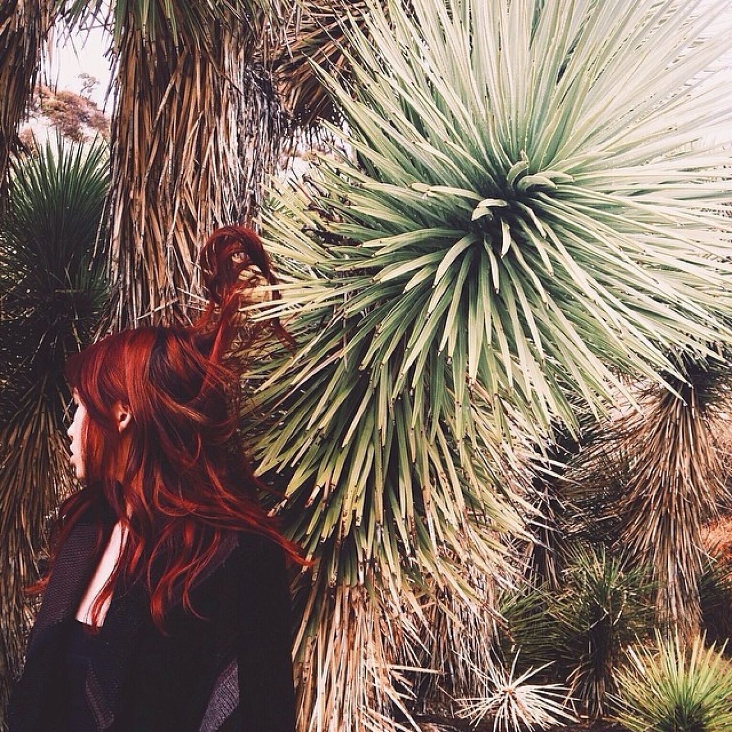 Insta Fav #69: Devin Castro - IGNANT