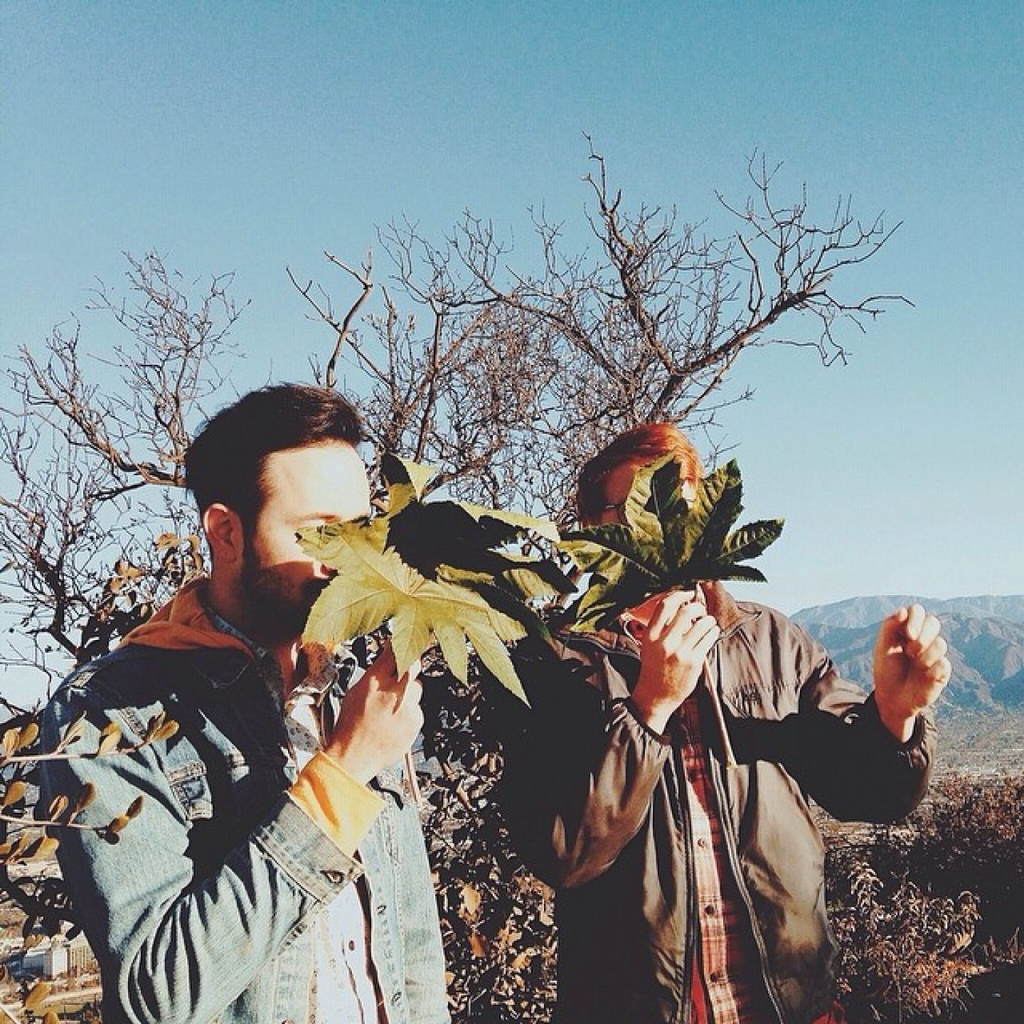 Insta Fav #69: Devin Castro - IGNANT