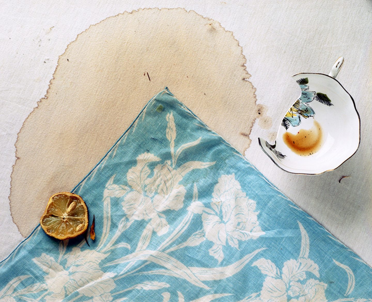 Disturbing Still Lifes by Madison Carroll - IGNANT