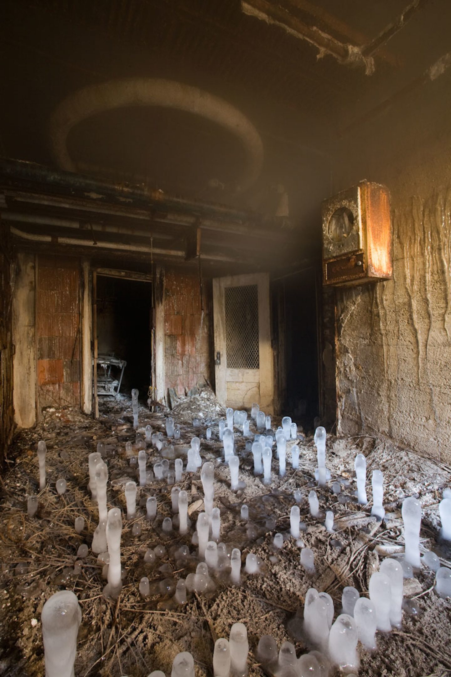 American Asylums by Jeremy Harris - IGNANT