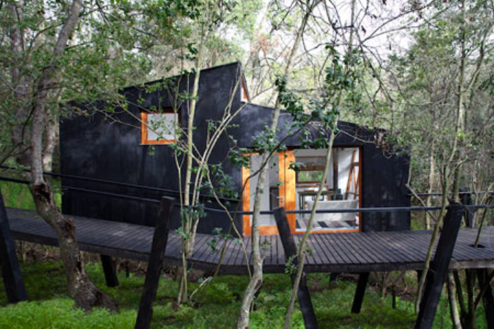 Fertilizer by Mark Harless - IGNANT