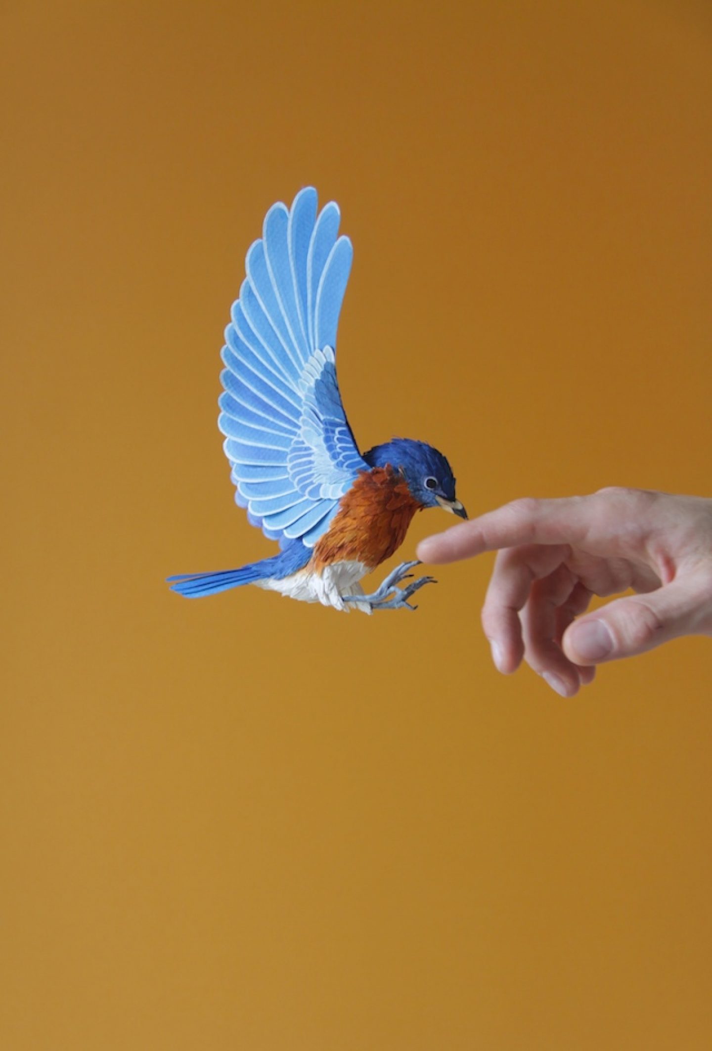Realistic Paper Birds by Diana Beltran Herrera - IGNANT
