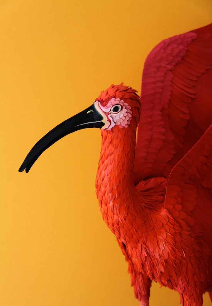 Realistic Paper Birds by Diana Beltran Herrera - IGNANT