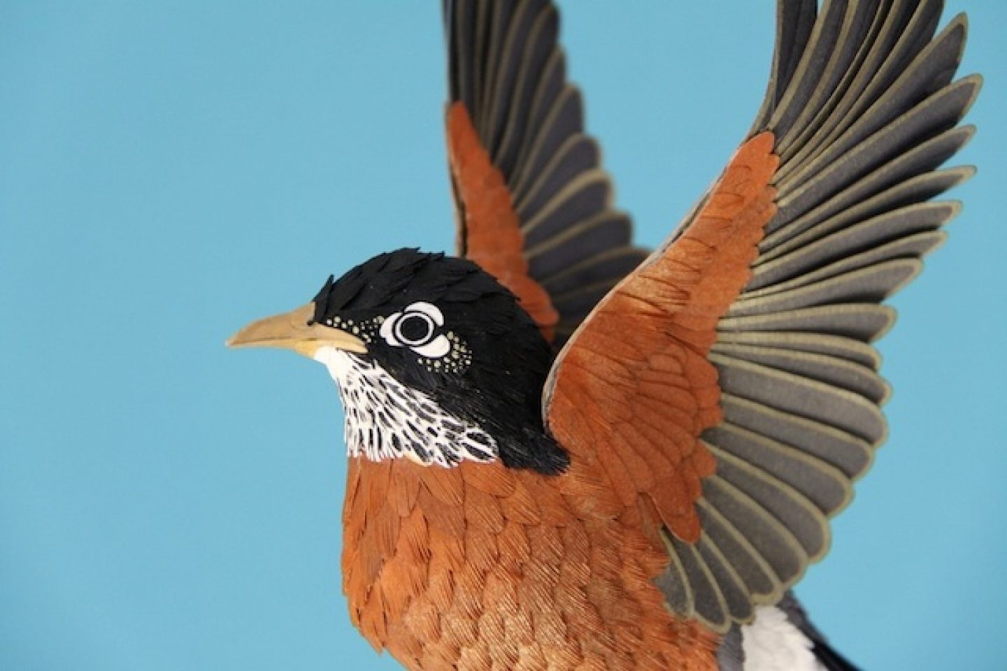 Realistic Paper Birds by Diana Beltran Herrera - IGNANT