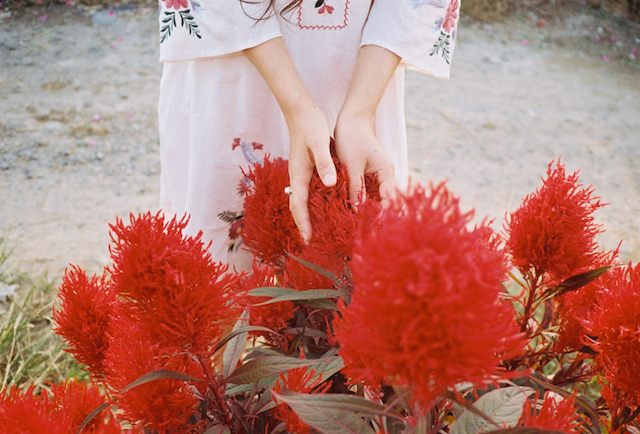 Dreamy photography by Du Yang - IGNANT