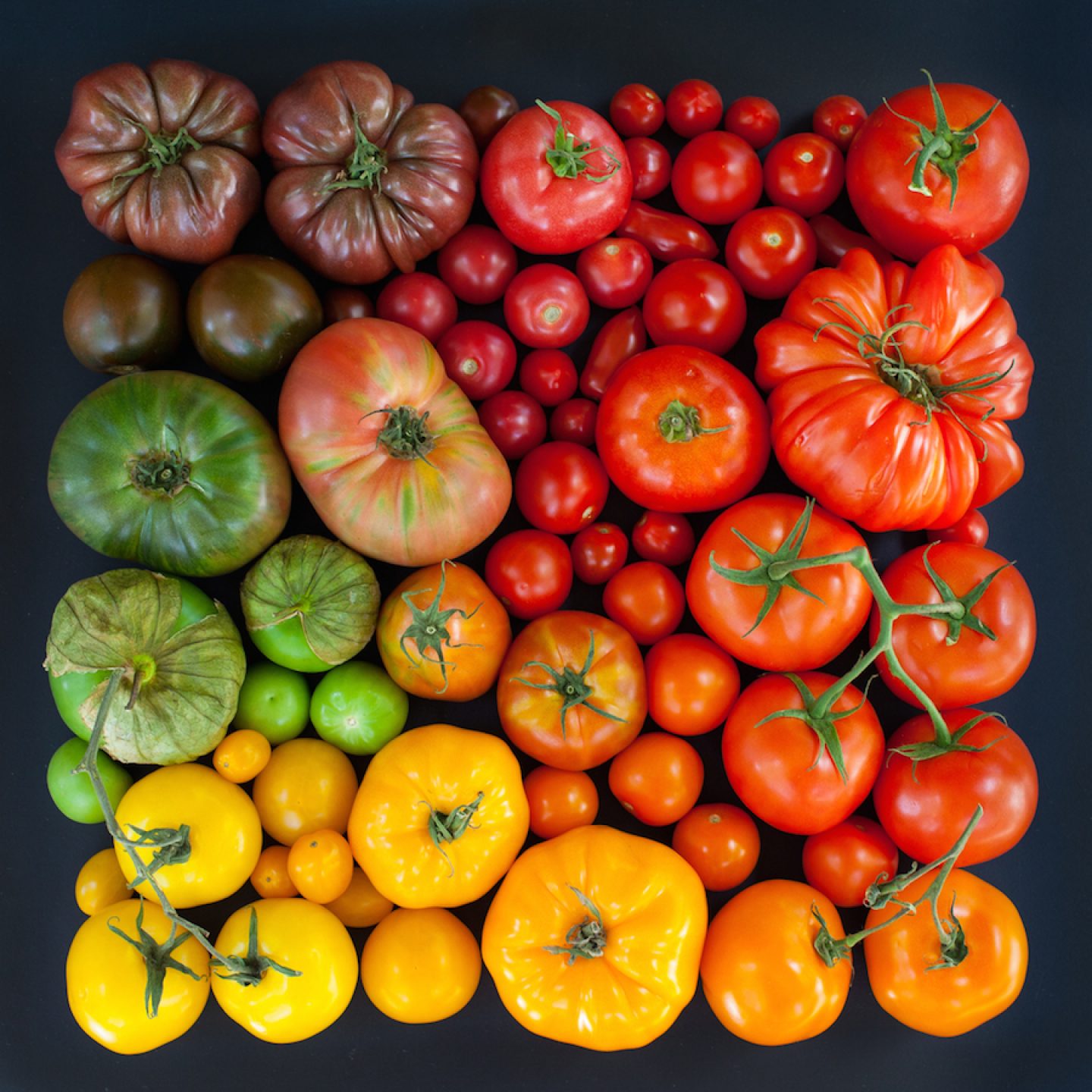 Color-coded photography by Emily Blincoe - IGNANT