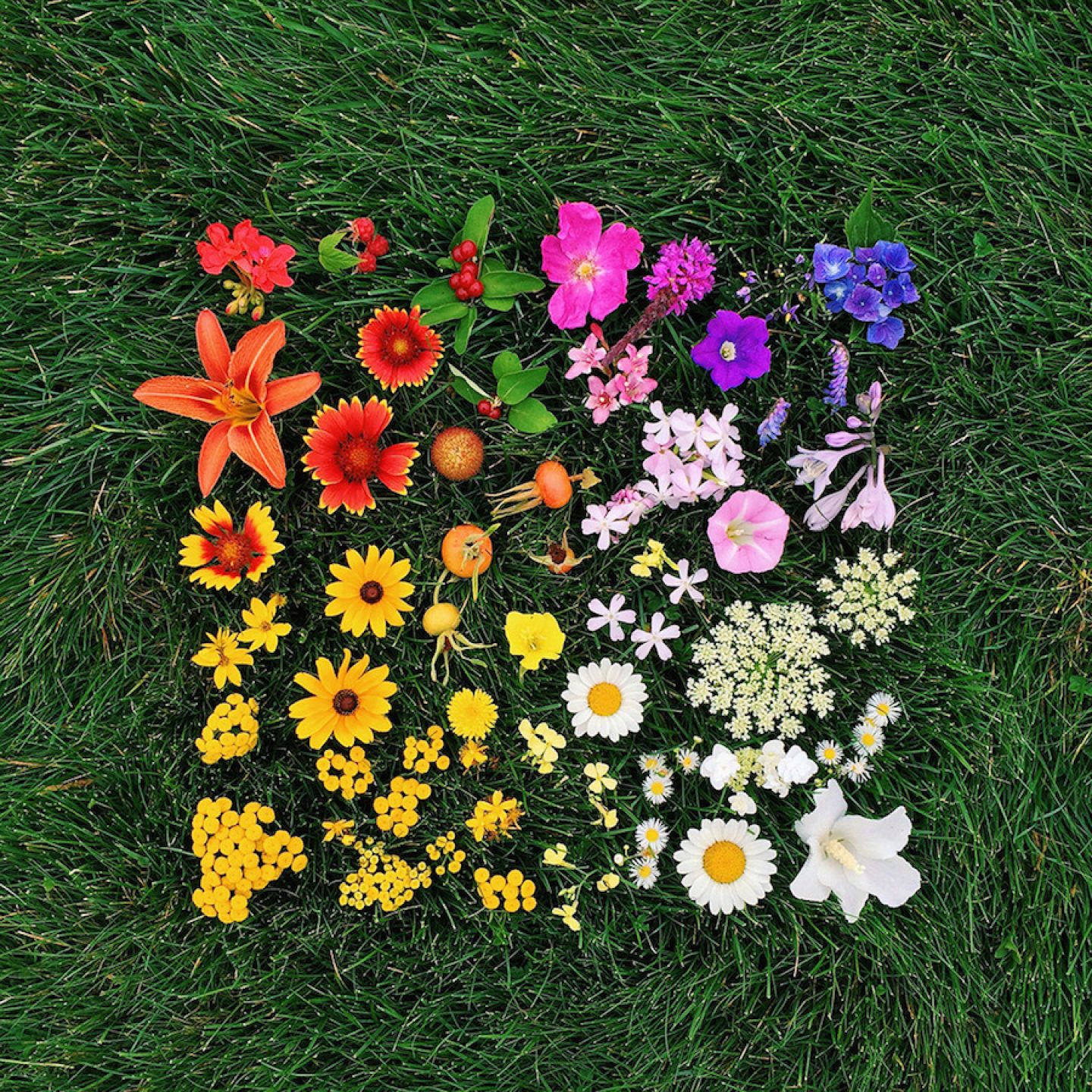 Color-coded photography by Emily Blincoe - IGNANT